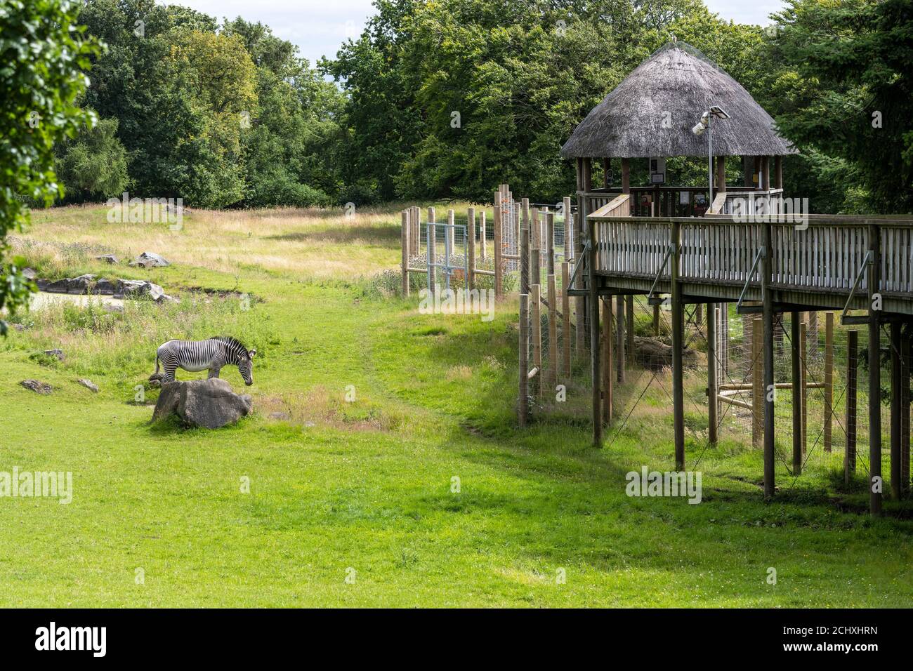 Visitors viewing platform in African plains enclosure at Edinburgh Zoo ...