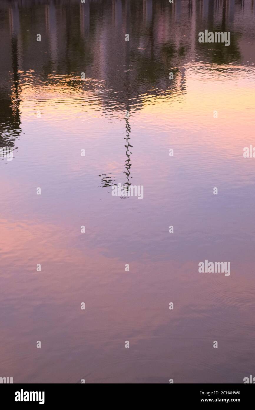 Vertical shot of the reflection of a colorful sky and buildings in ...
