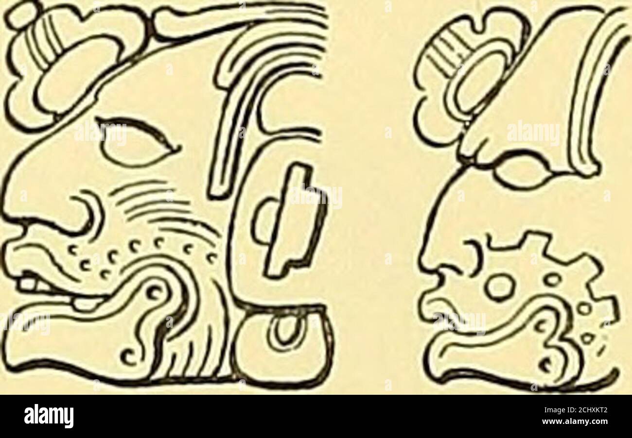 . Biologia Centrali-Americana, or, Contributions to the knowledge of ...