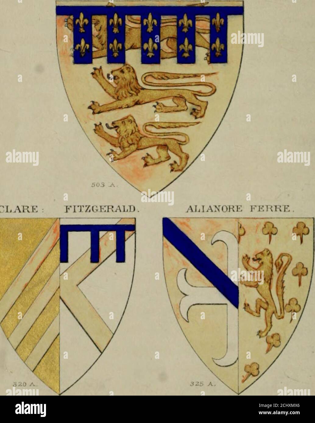 Dimidiated hi-res stock photography and images - Alamy