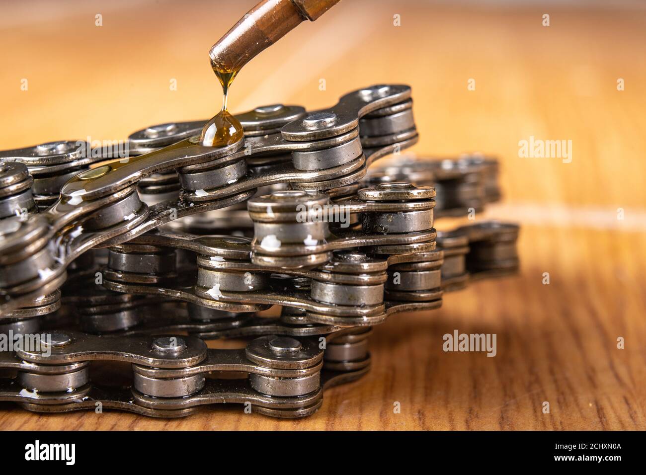 Oiling the bicycle chain with the oil can. Accessories for repairing ...
