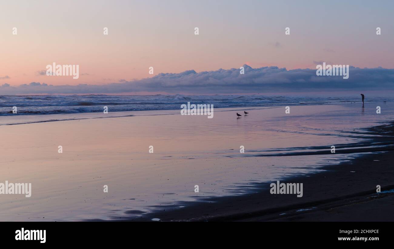 Panorama of Man Doing Tai Chi on Ocean Beach at Dusk Stock Photo - Alamy