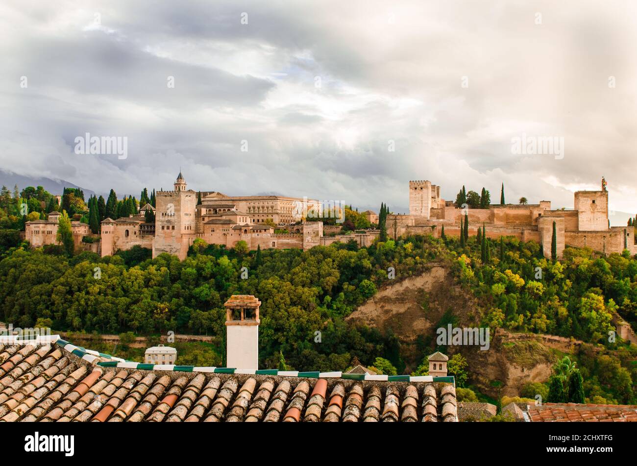 Beautiful shot of the Alhambra Palace surrounded by trees in Granada ...
