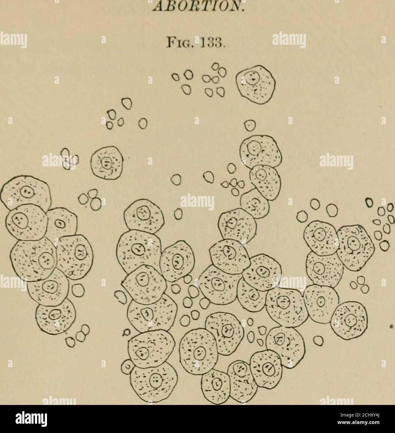 . A manual of clinical diagnosis by means of microscopical and chemical ...