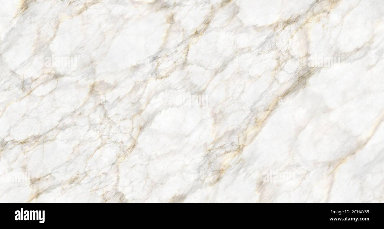 Calacatta Gold Marble Texture
