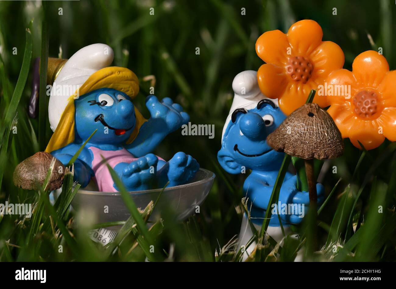 Smurfs from my backyard Stock Photo - Alamy