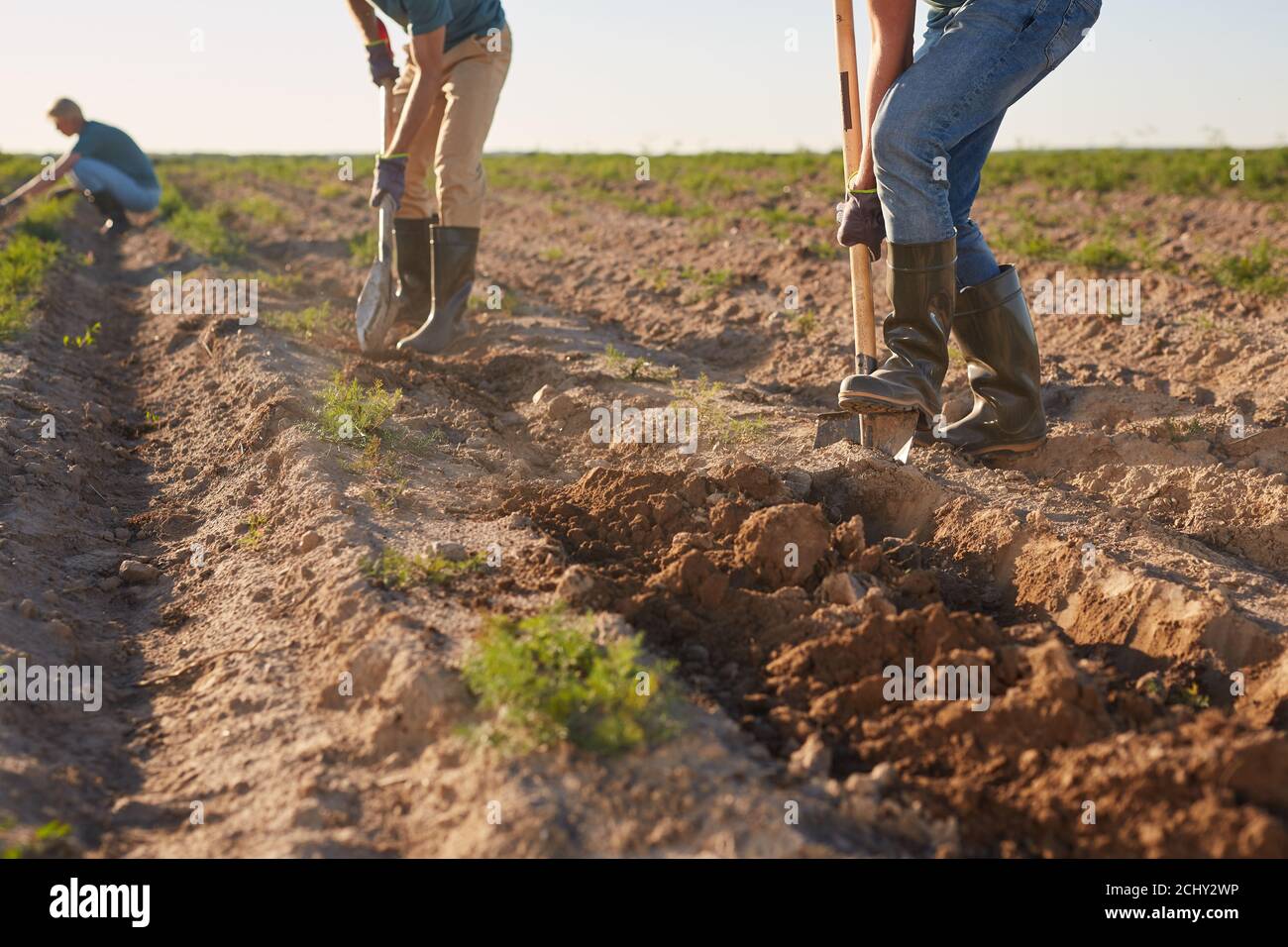 Strong women workers hi-res stock photography and images - Alamy