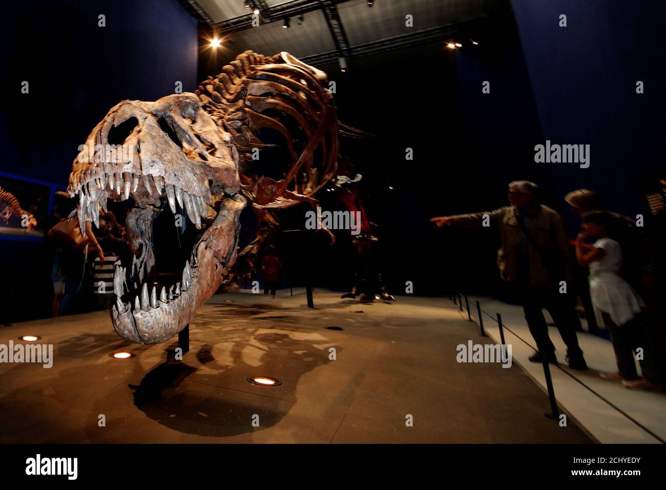 Trix the t rex hi-res stock photography and images - Alamy