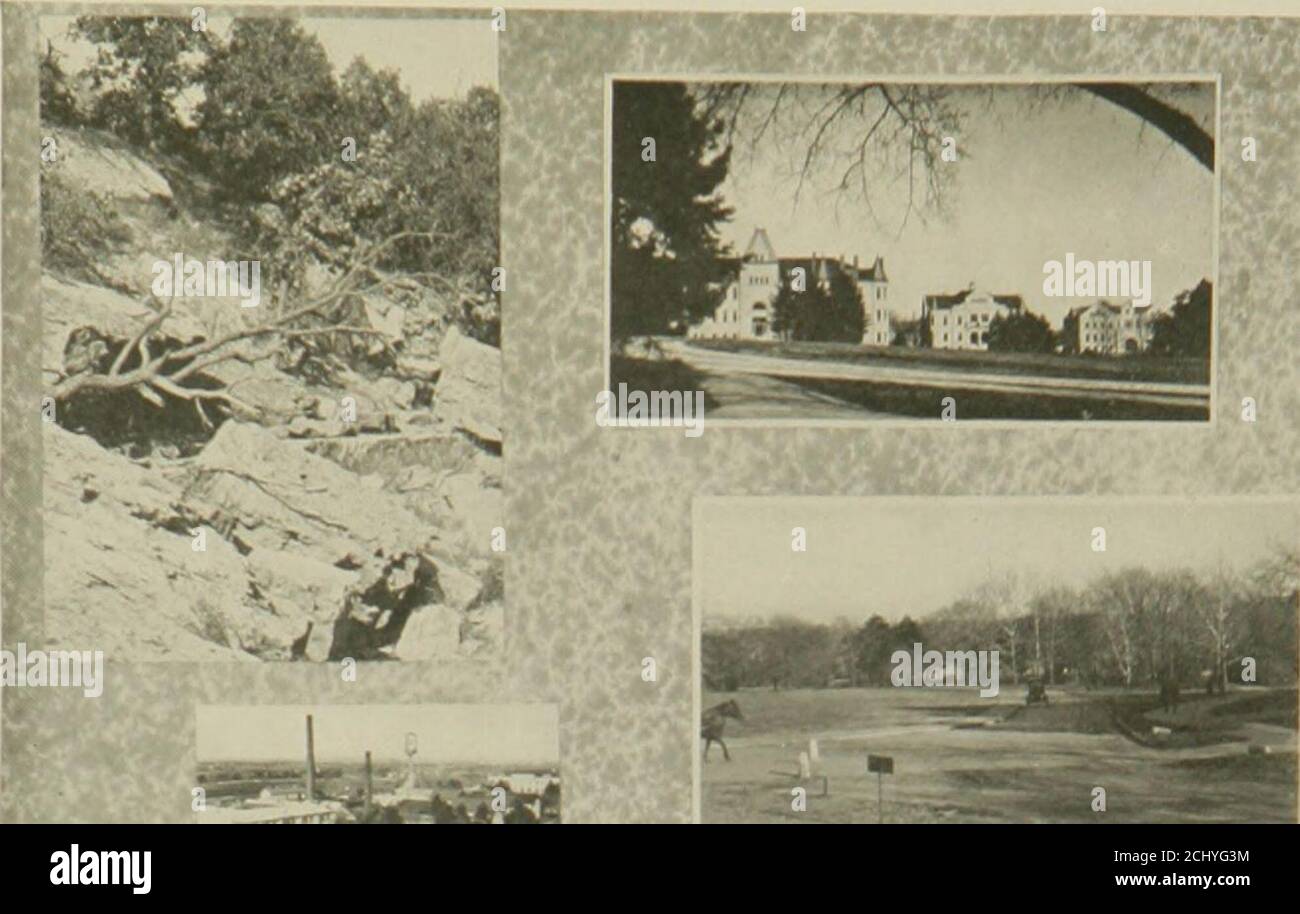 . Royal purple . Pa^r .,» Stock Photo - Alamy