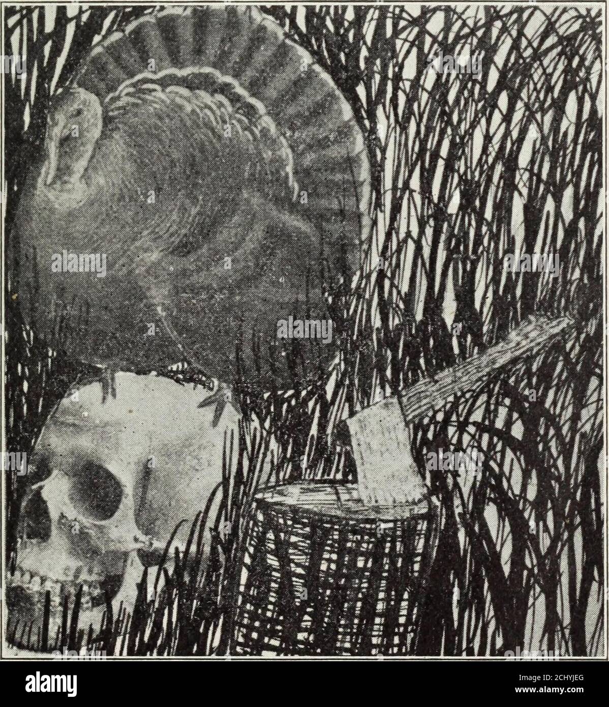 Extensor Surfaces High Resolution Stock Photography and Images - Alamy