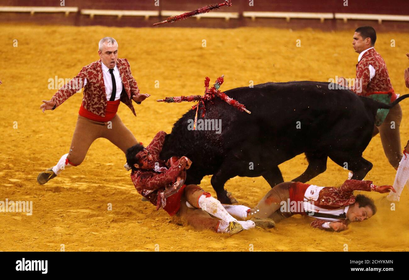 Forcados hi-res stock photography and images - Alamy