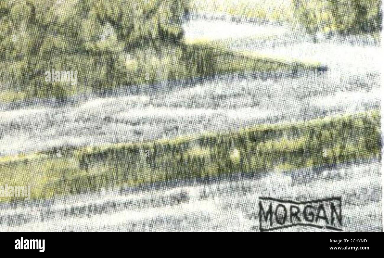 Morgan plan suggestion hi-res stock photography and images - Alamy