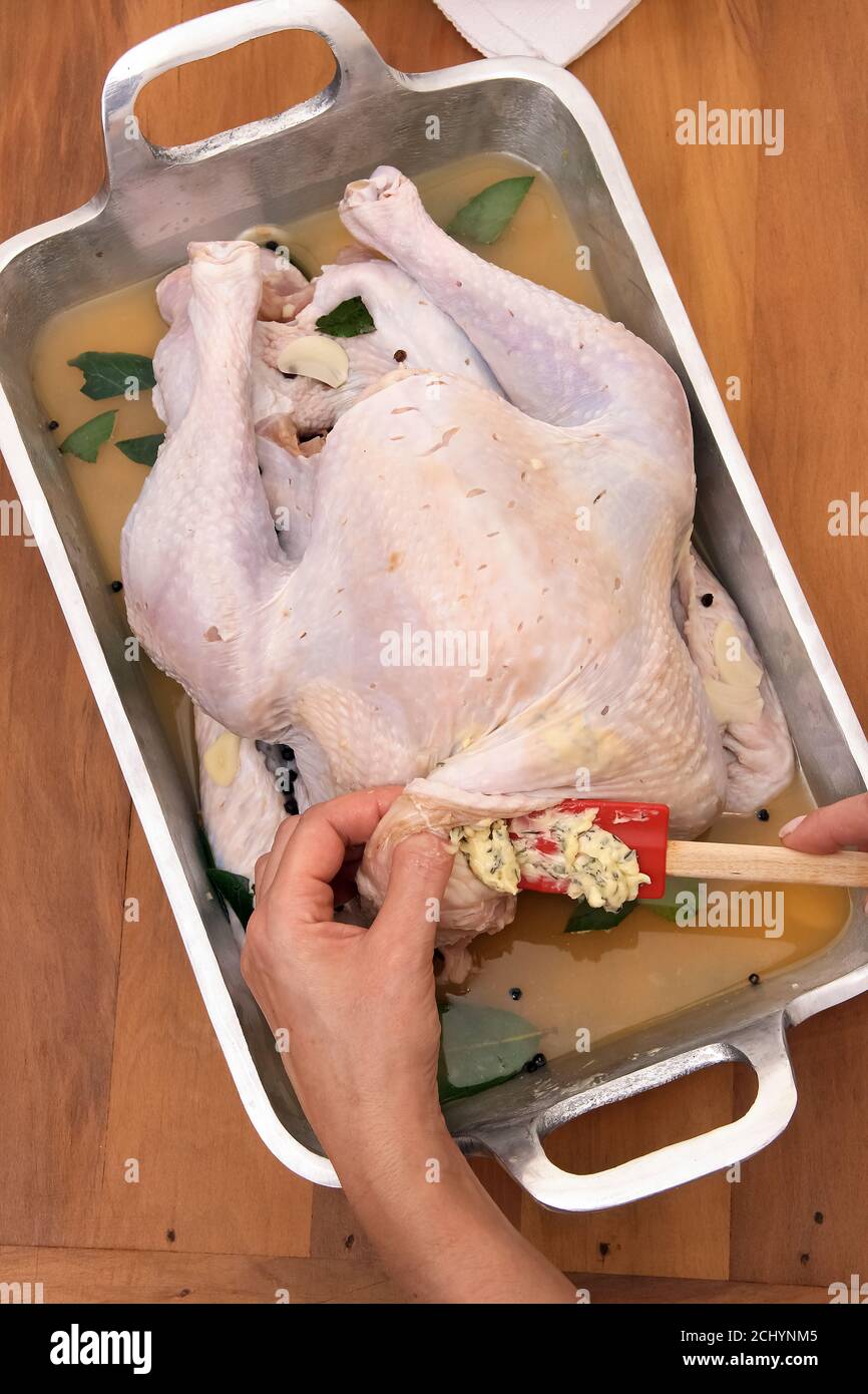 classic christmas turkey being prepared in the kitchen Stock Photo - Alamy