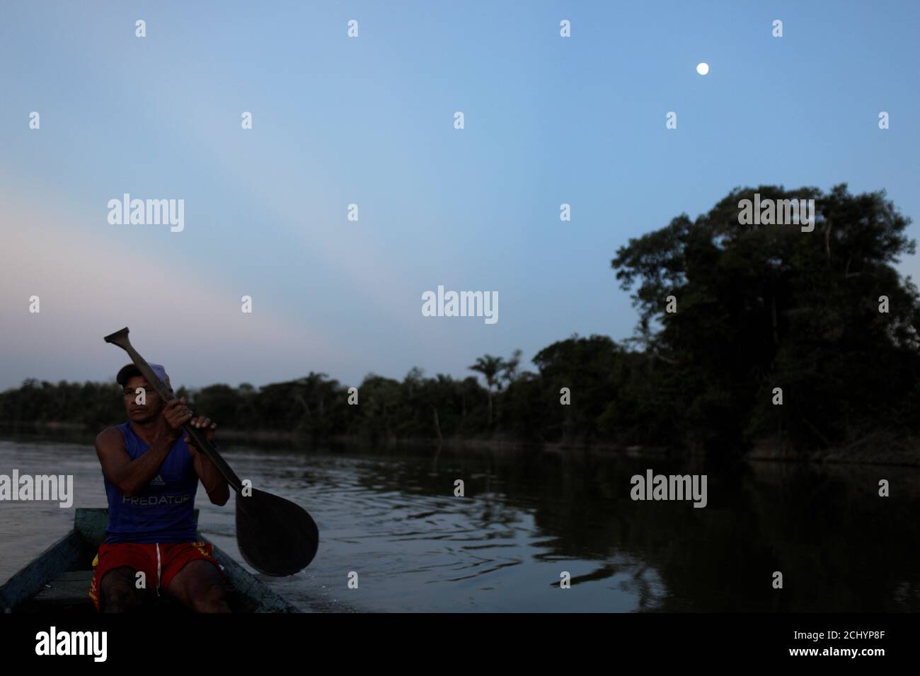 Gurupi hi-res stock photography and images - Alamy