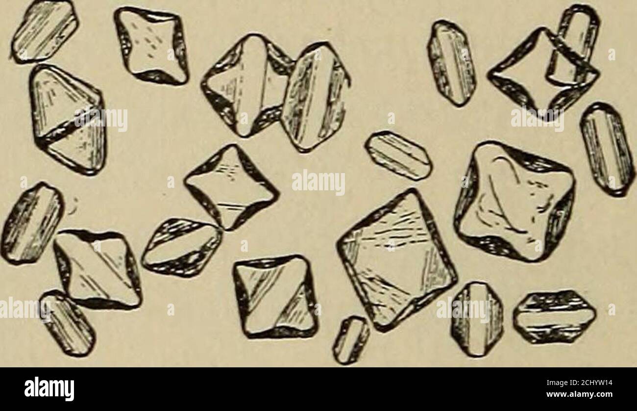 . A manual of clinical diagnosis by means of microscopical and chemical ...