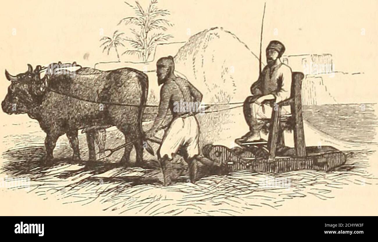 . A comprehensive dictionary of the Bible . Fig. 10.—The NSreg, a ...