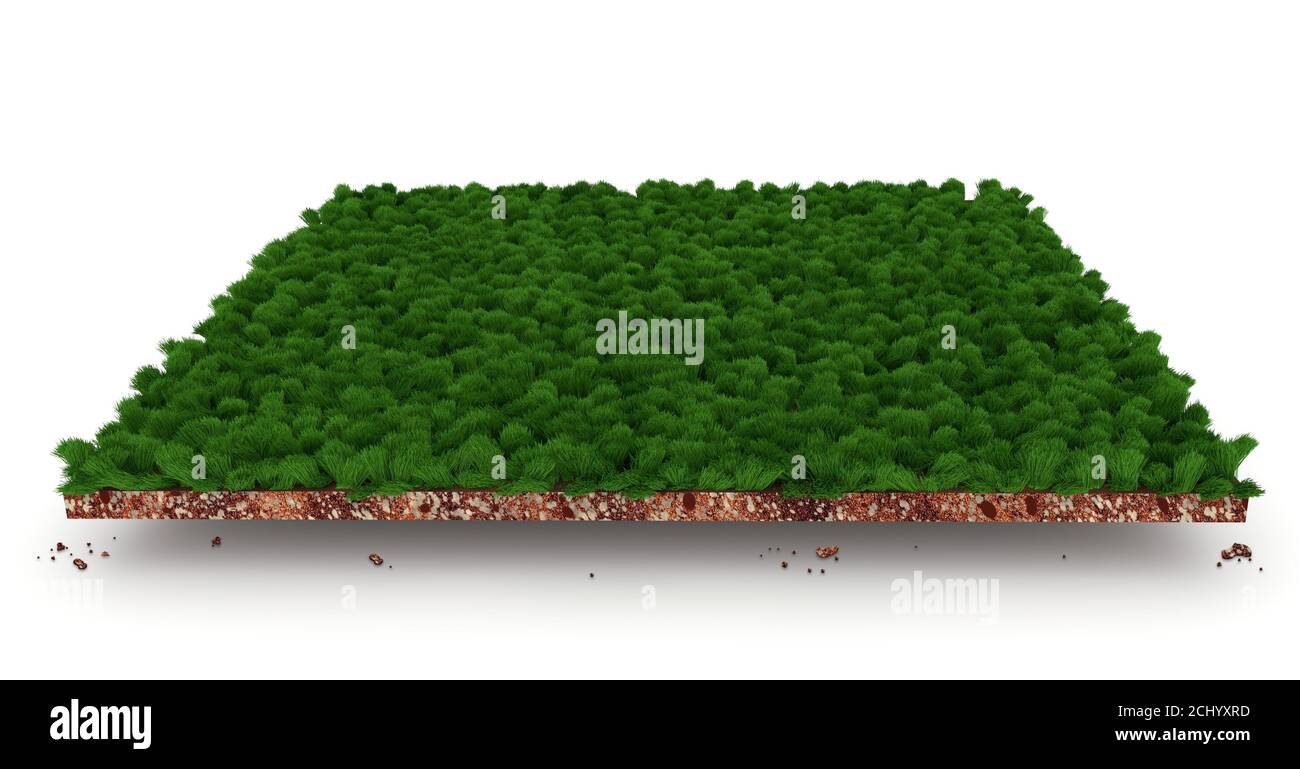 Section of soil layers with green grass 3d illustration, green lane ...