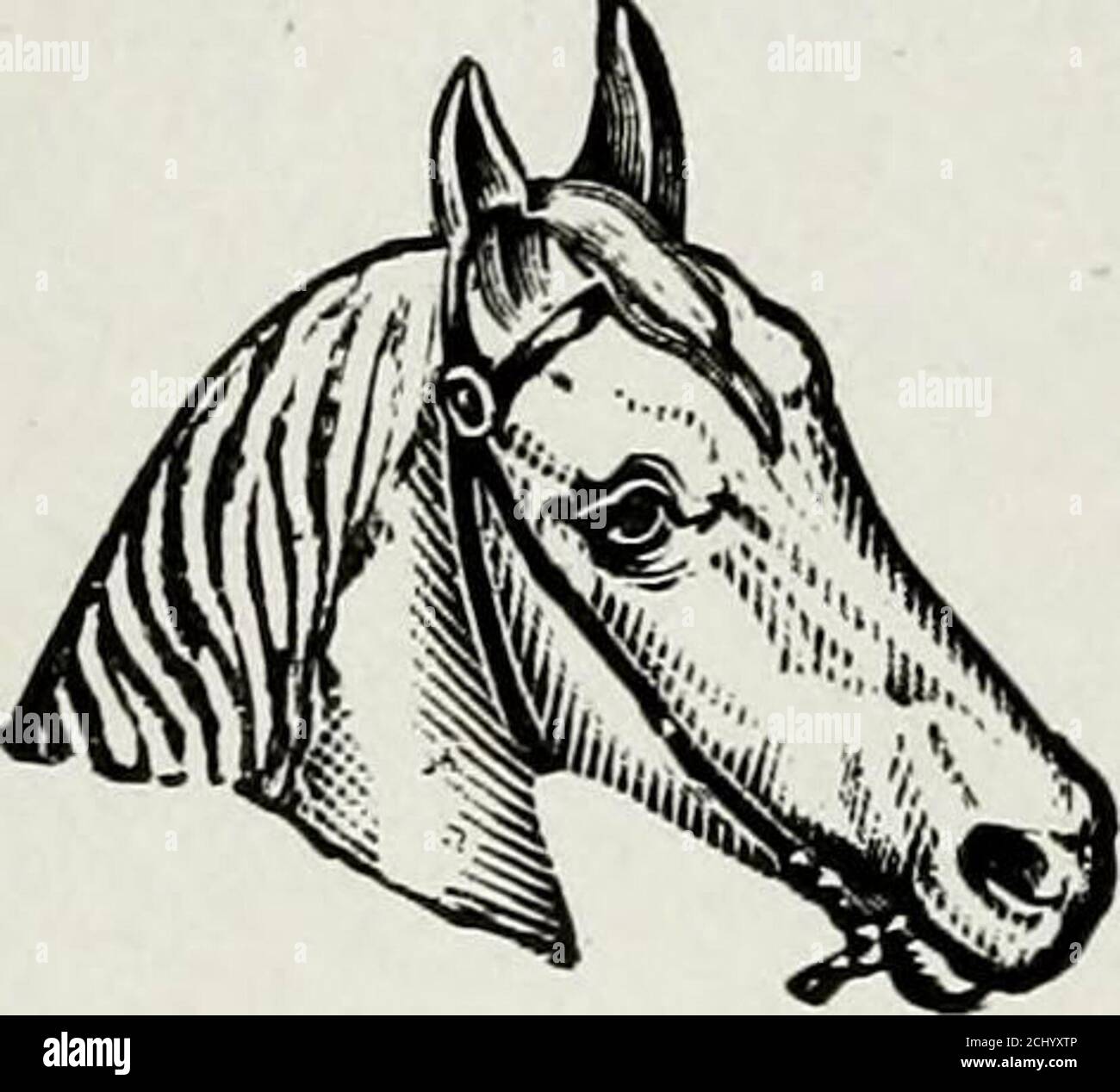 Emil larson hi-res stock photography and images - Alamy