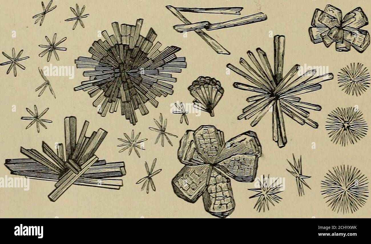 . A manual of clinical diagnosis by means of microscopical and chemical ...