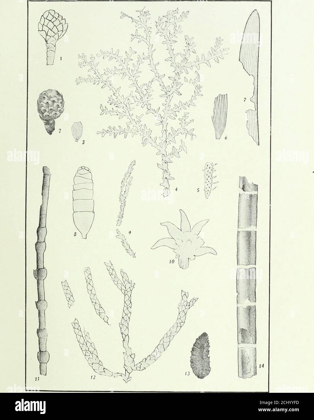 Annual report of the United States Geological Survey to the Secretary ...
