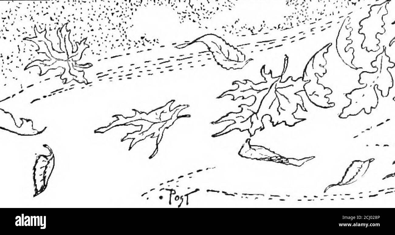 . The book of months . ing by which I could the more fully ap-prehend ...