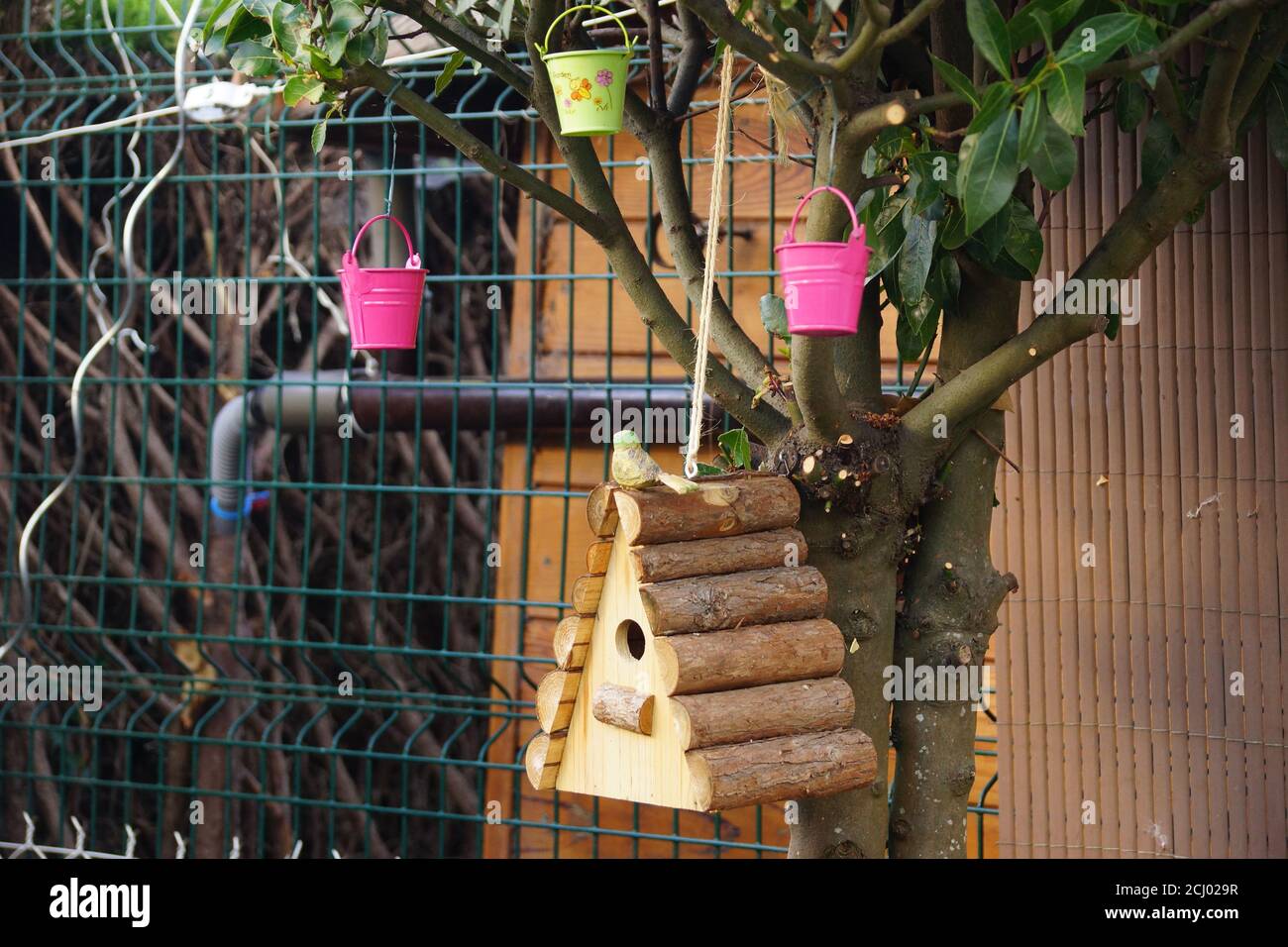 A birds house and colorful buckets hanging from a tree in a park Stock ...