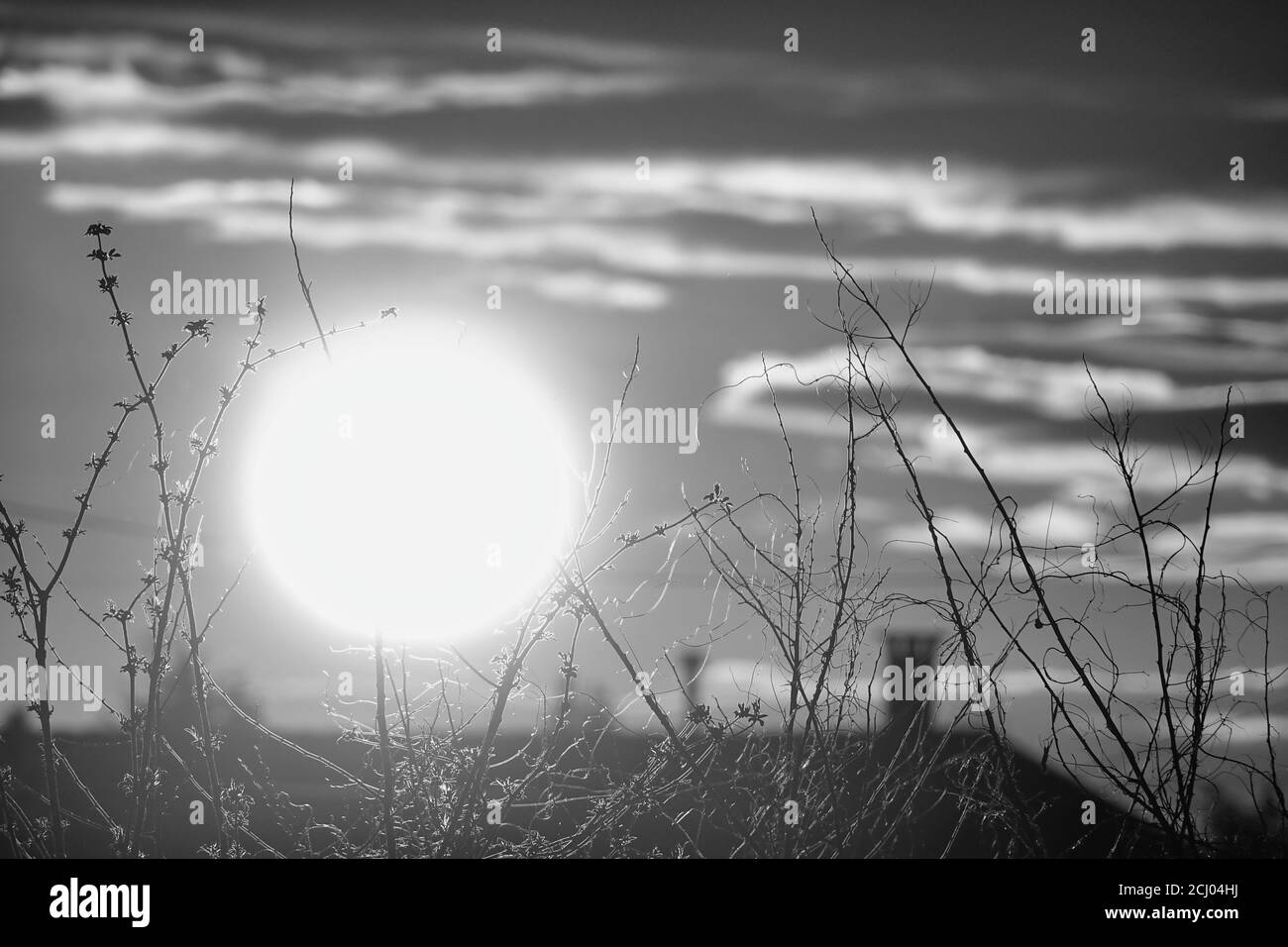 Grayscale shot of the sun shining in the sky Stock Photo - Alamy