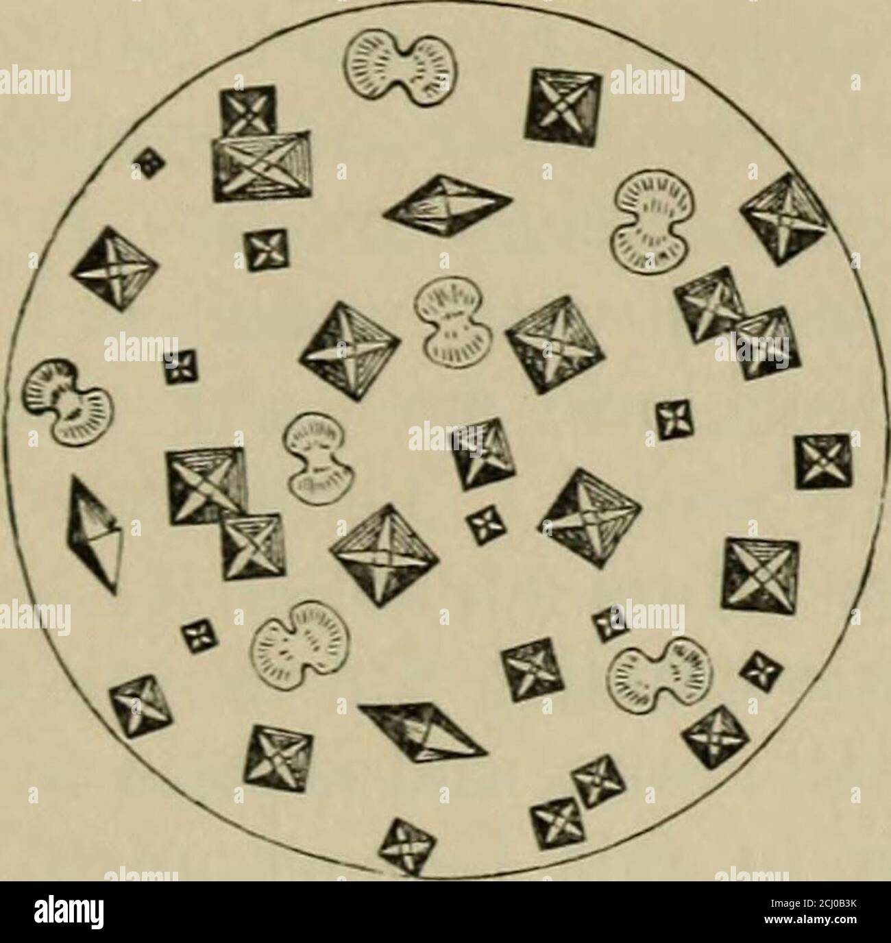 . A manual of clinical diagnosis by means of microscopical and chemical ...