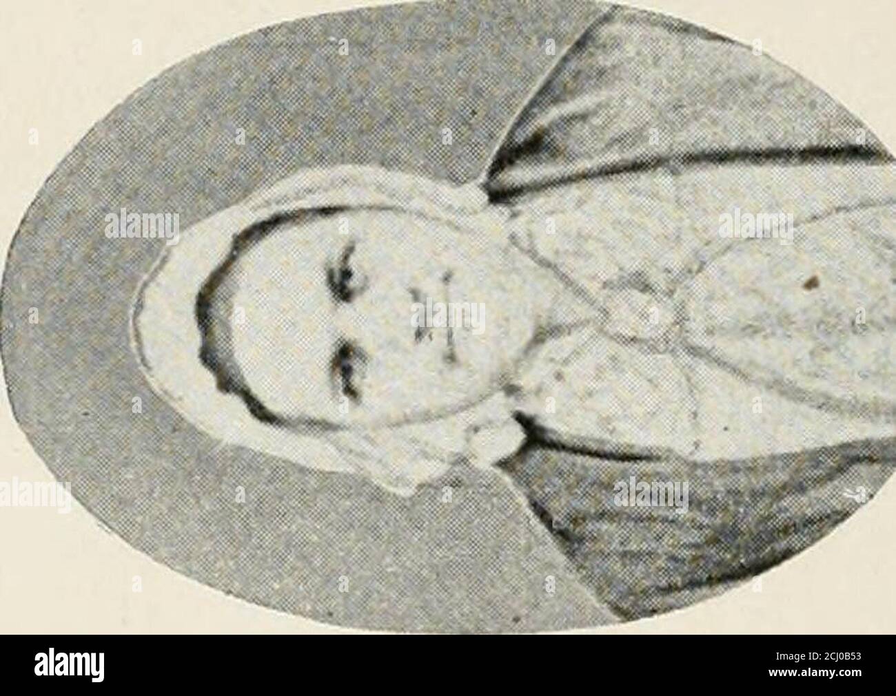 Affairs of adelaide hi-res stock photography and images - Alamy