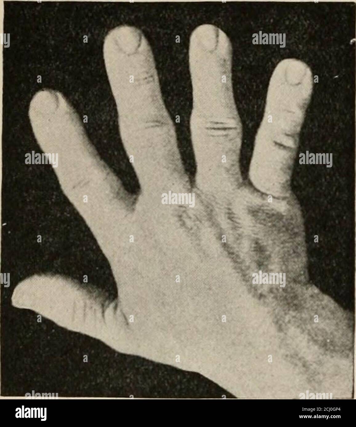 . The endocrine organs; an introduction to the study of internal ...