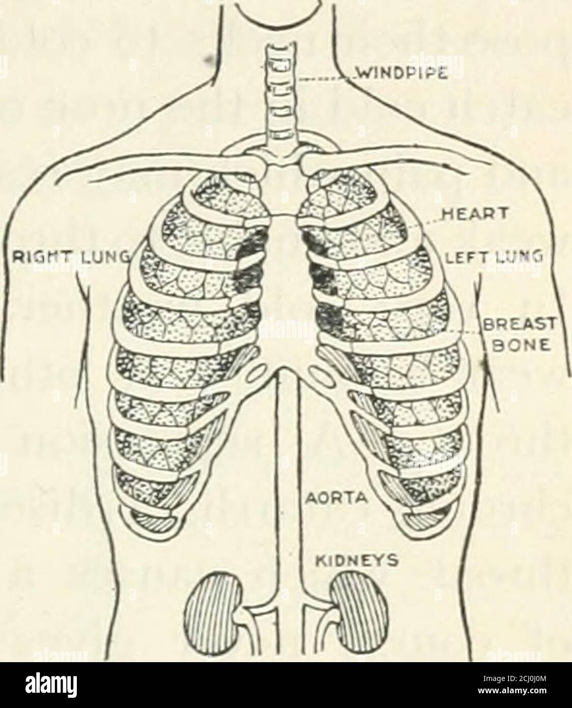 Tempera on cloth hi-res stock photography and images - Alamy