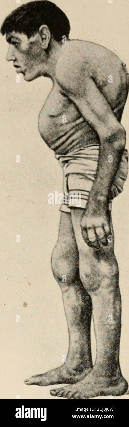 . The endocrine organs; an introduction to the study of internal ...