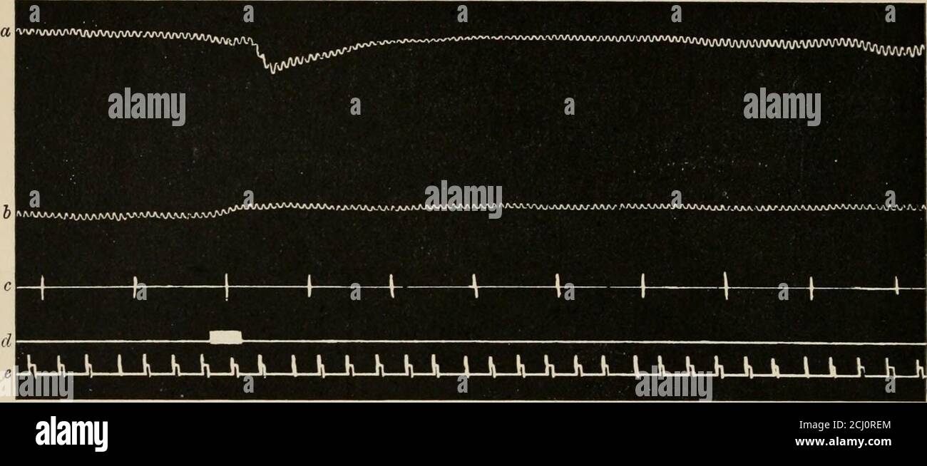 . The endocrine organs; an introduction to the study of internal ...