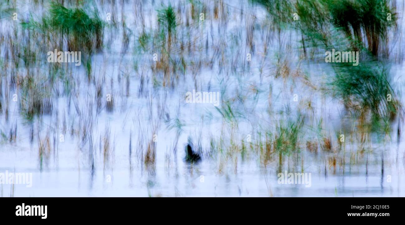 Abstract nature. Motion blur background. Colorful nature background ...