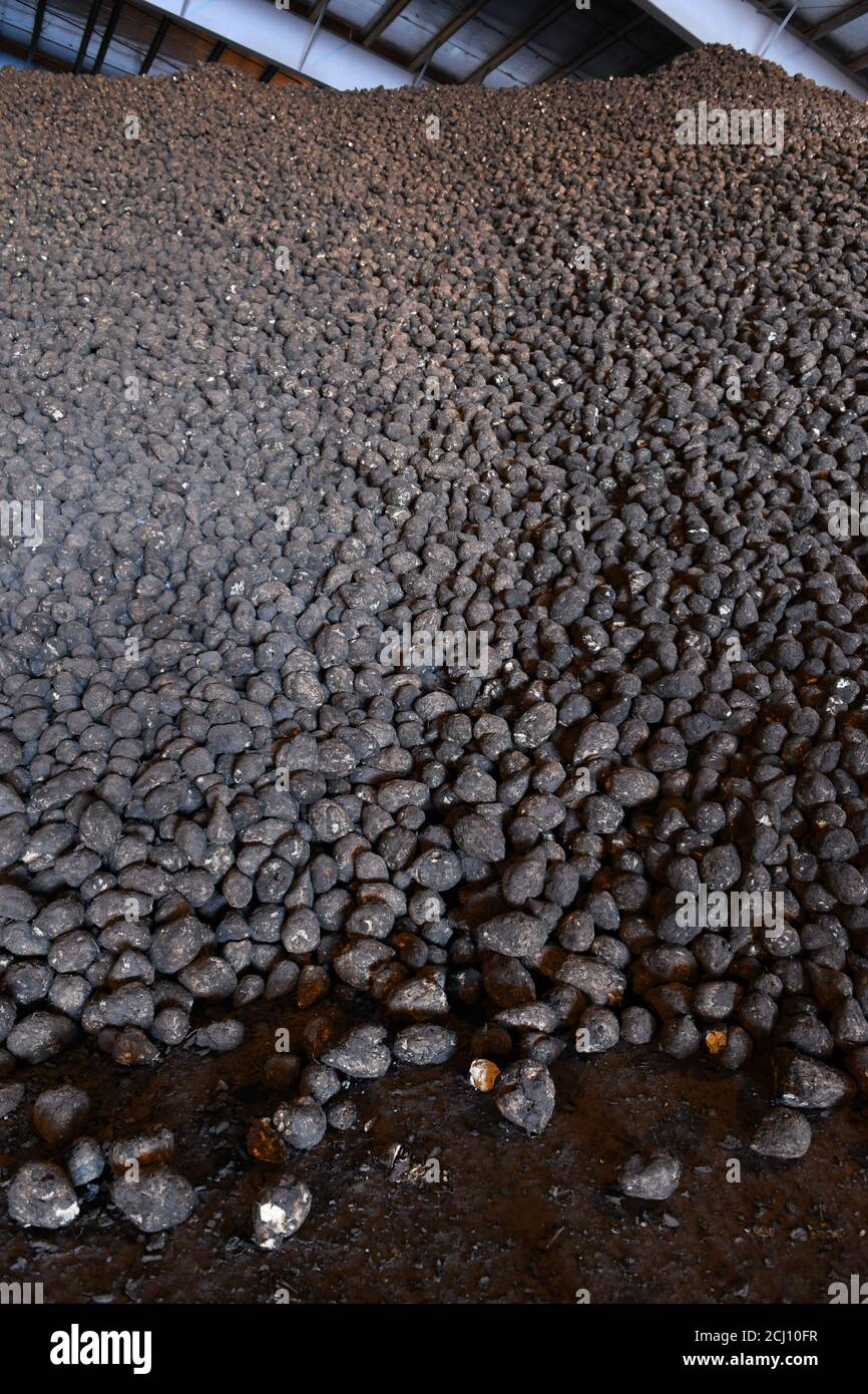 Building Sugar Storage High Resolution Stock Photography and Images - Alamy