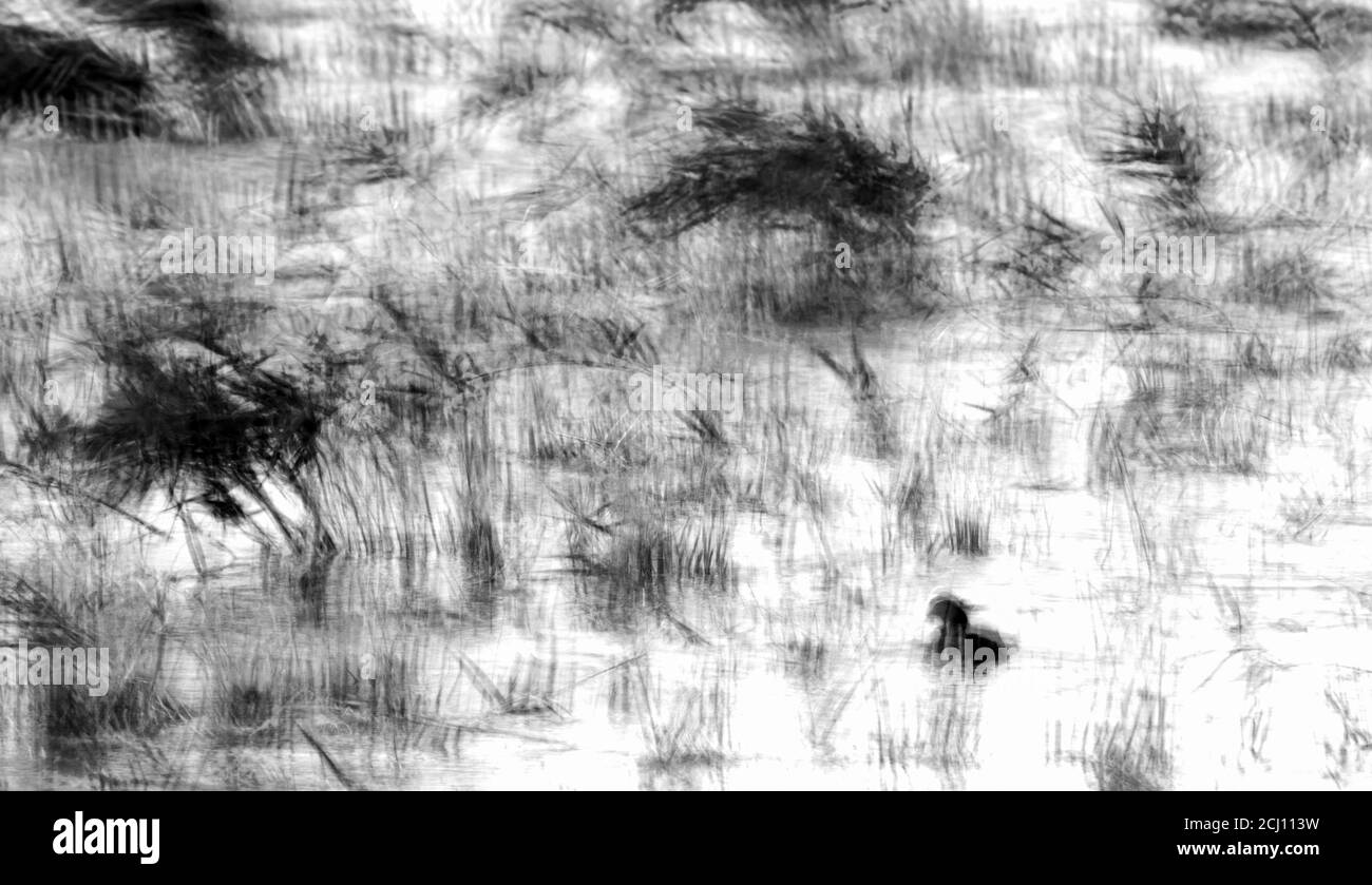 Abstract nature. Motion blur background. Colorful nature background ...