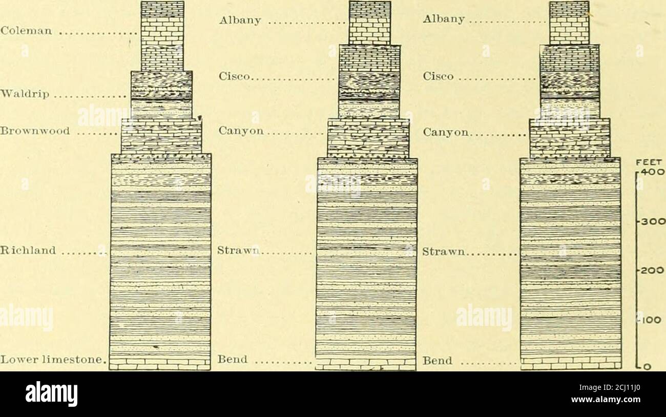 Conocardium hi-res stock photography and images - Alamy
