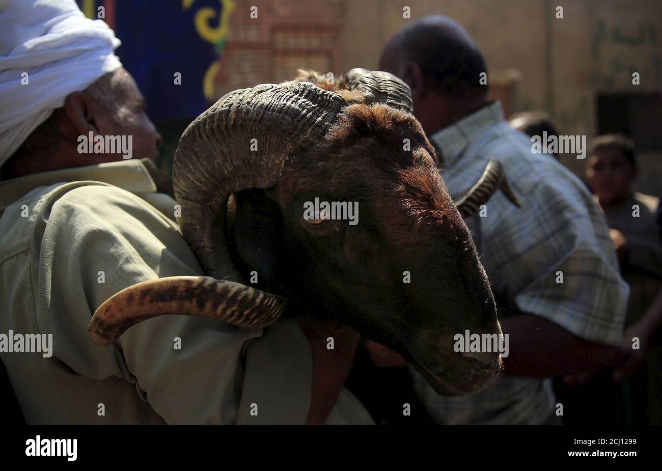 Sacrifice A Ram High Resolution Stock Photography and Images - Alamy