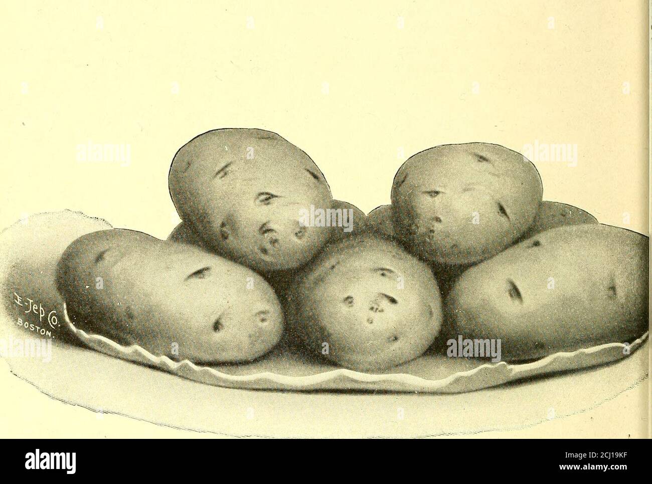 Cucumeris hi-res stock photography and images - Alamy