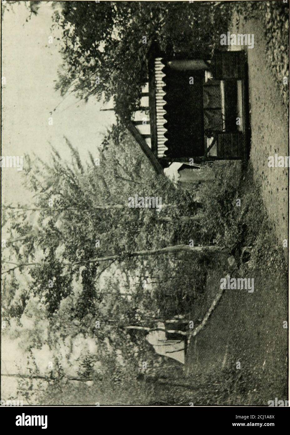 . British sanatoria for the open-air treatment of tuberculosis : with ...