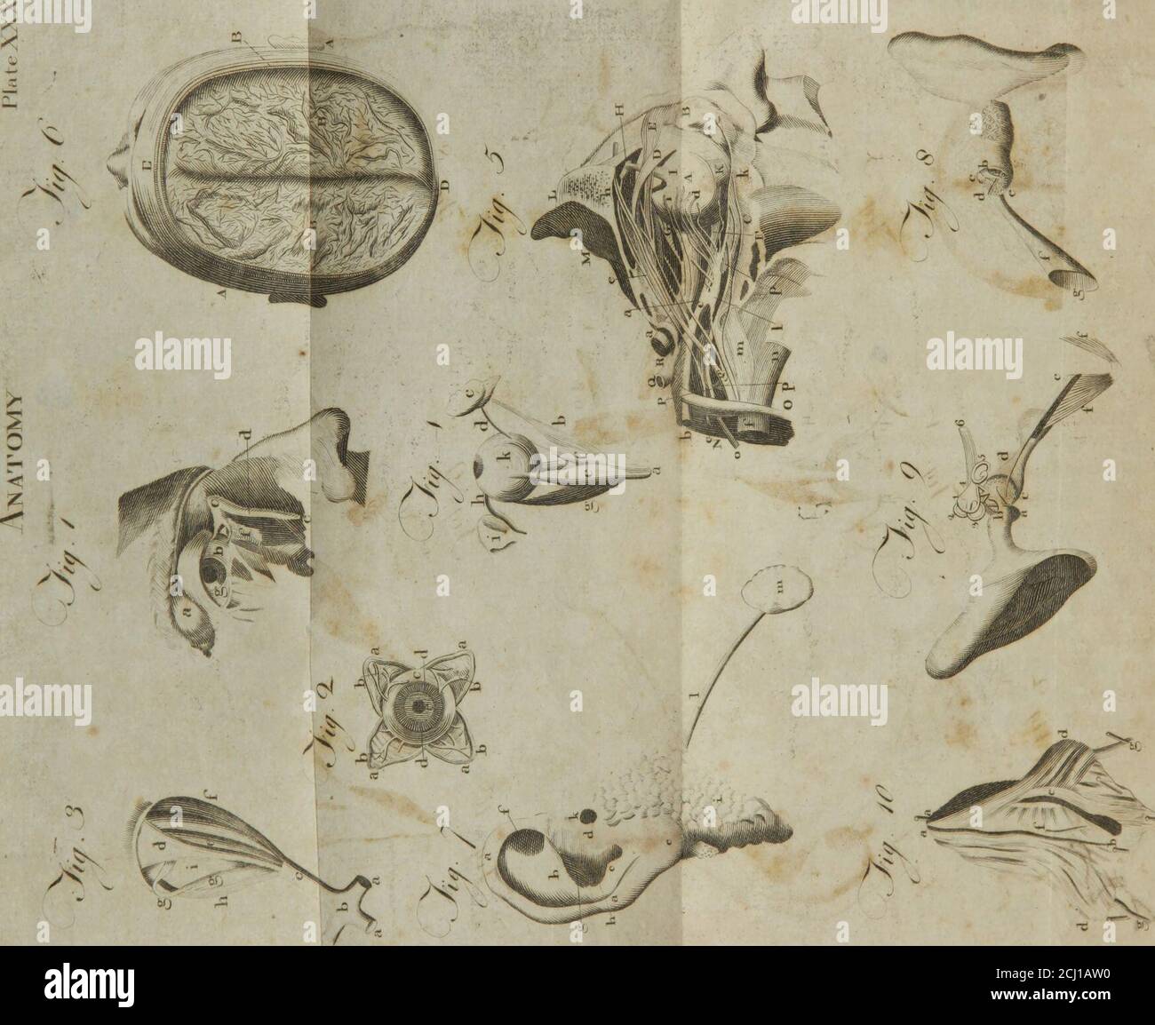 . A compendious system of anatomy : in six parts : part I : Osteology ...