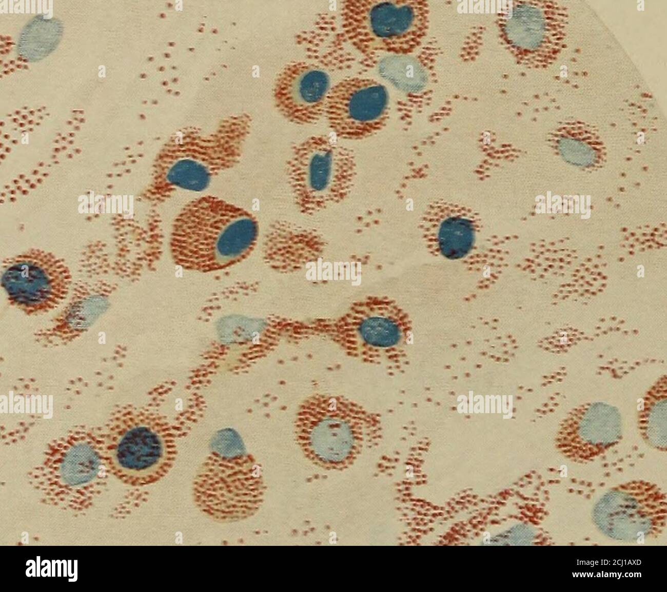 . A manual of clinical diagnosis by means of microscopical and chemical ...