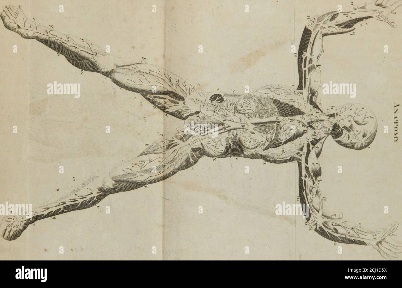 . A compendious system of anatomy : in six parts : part I : Osteology ...