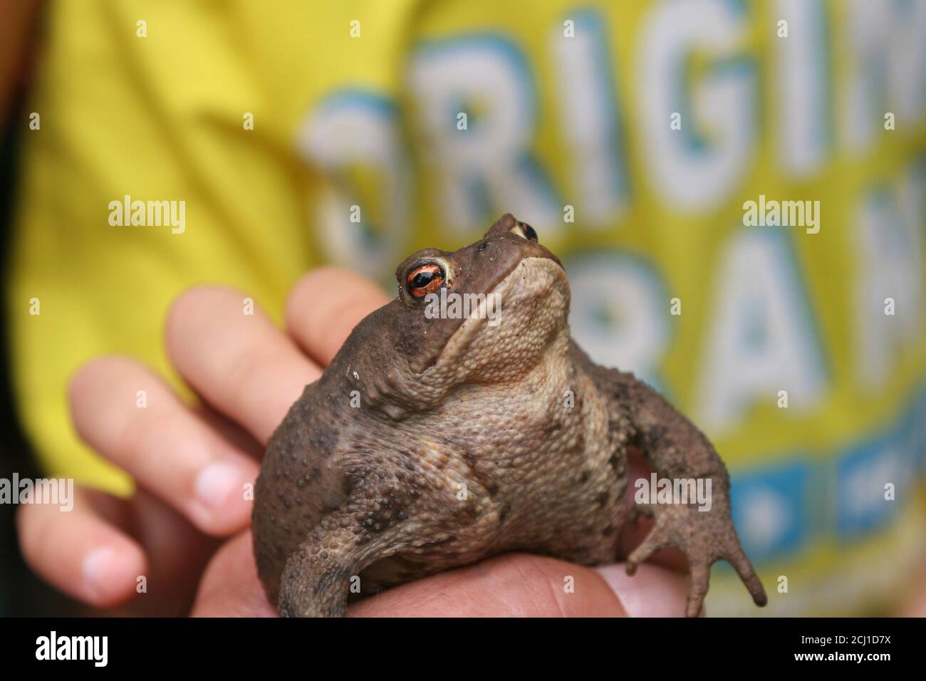 Sapo children hi-res stock photography and images - Alamy