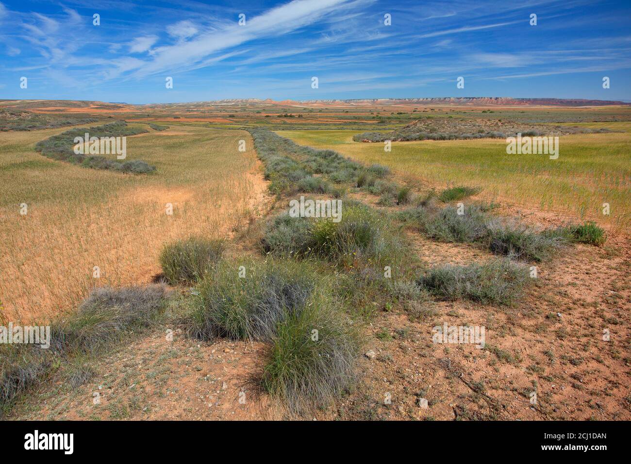 El planeron hi-res stock photography and images - Alamy