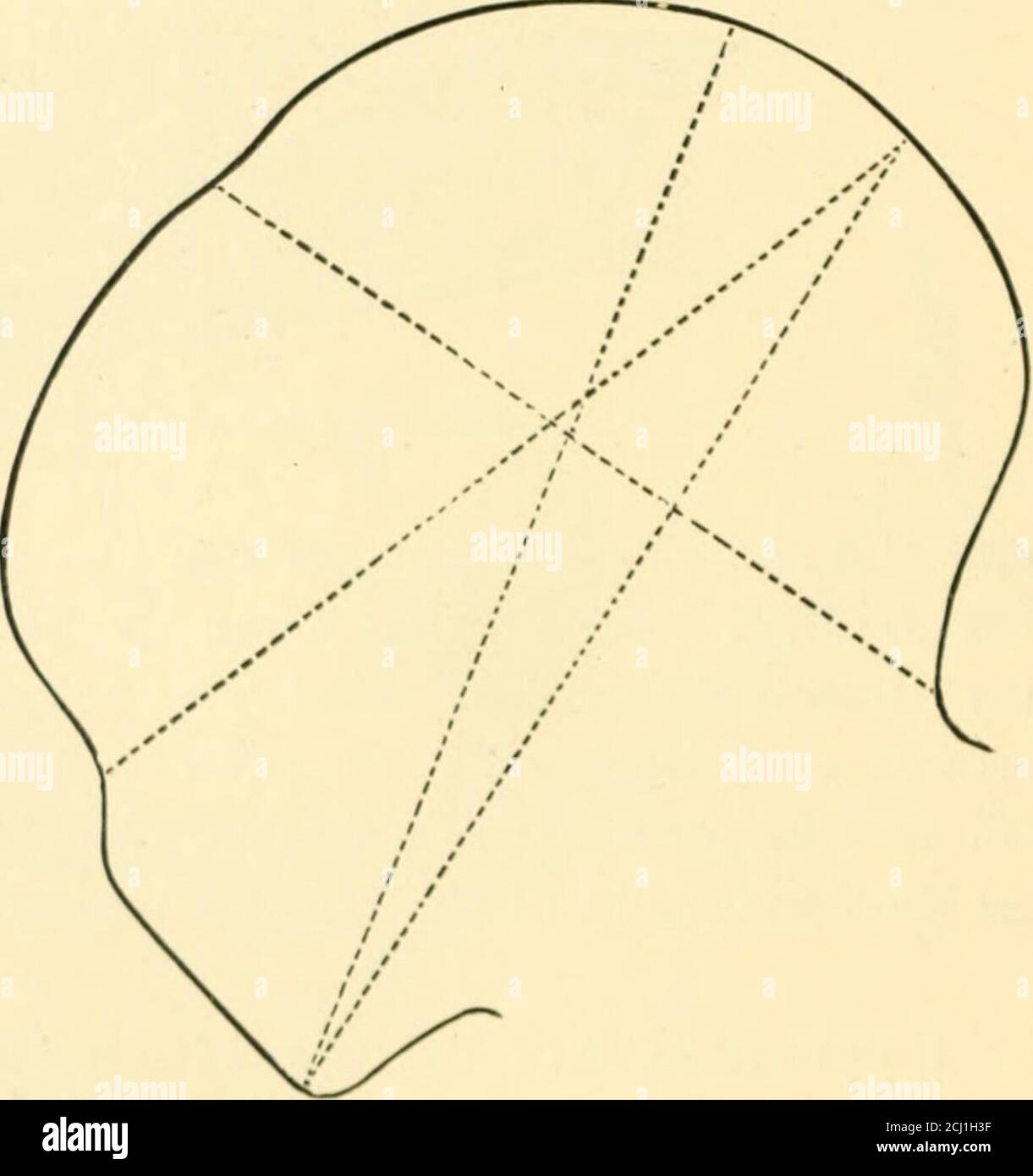 . The science and art of midwifery . eft mento-iliac position,left ...