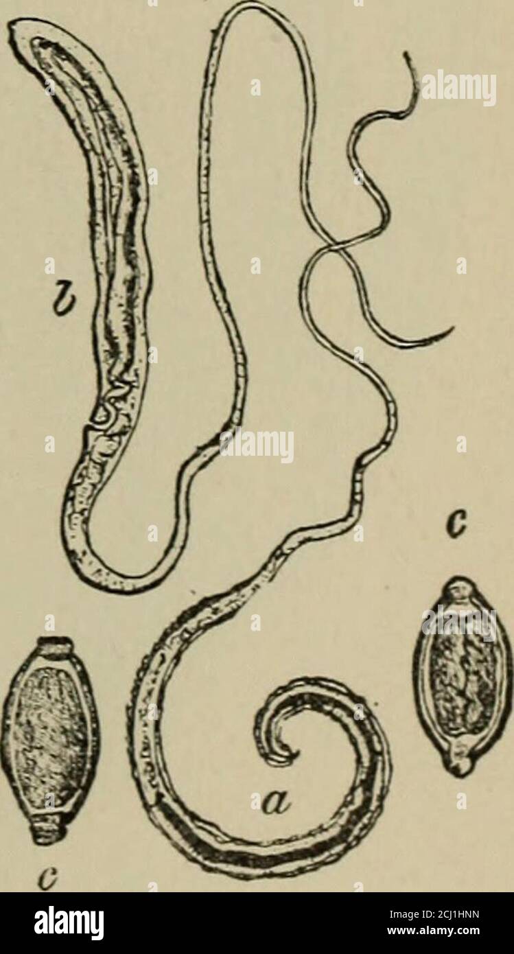 . A manual of clinical diagnosis by means of microscopical and chemical ...