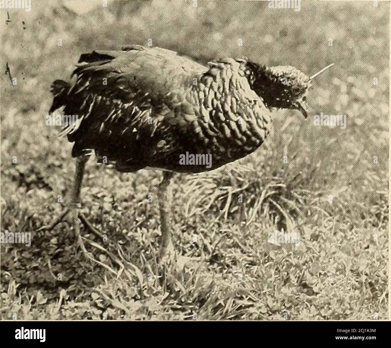 Gevity hi-res stock photography and images - Alamy