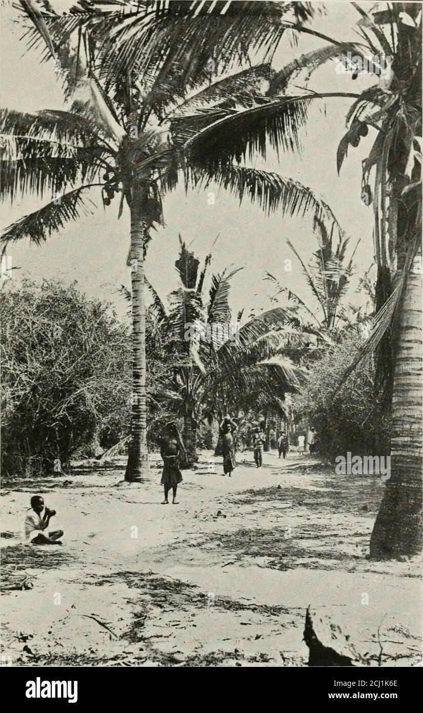 Melindi hi-res stock photography and images - Alamy