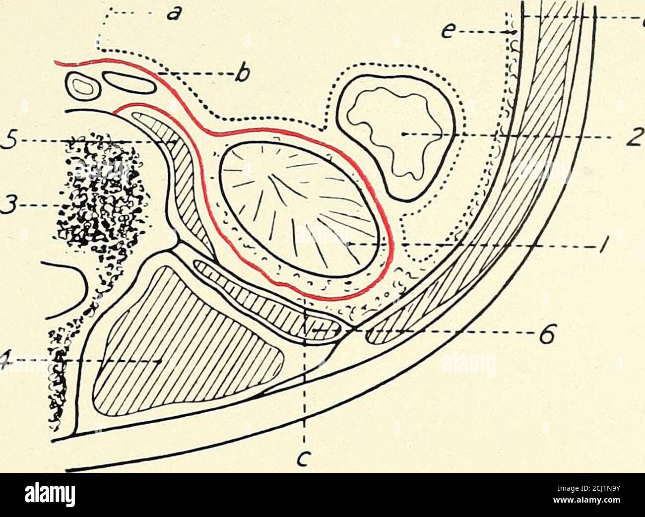 . A manual of operative surgery . fascia lining the diaphragm. These ...